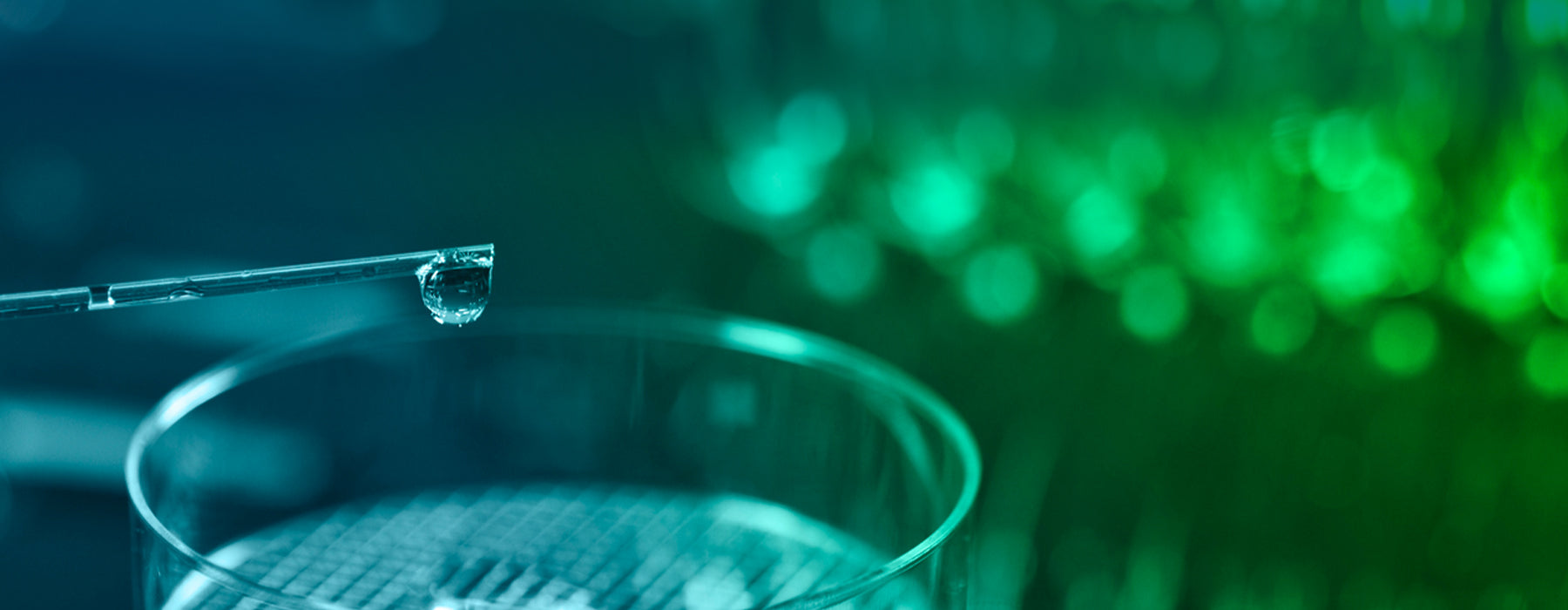 Chemex Glass Cleaner - Aerosol - Dries Fast & Streak Free (12 per Case ...