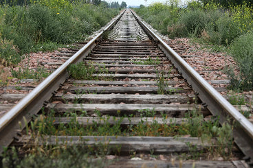 WEED EASY 4% Bromacil Granules - Soil Sterilant - Chemex Industries, Inc.